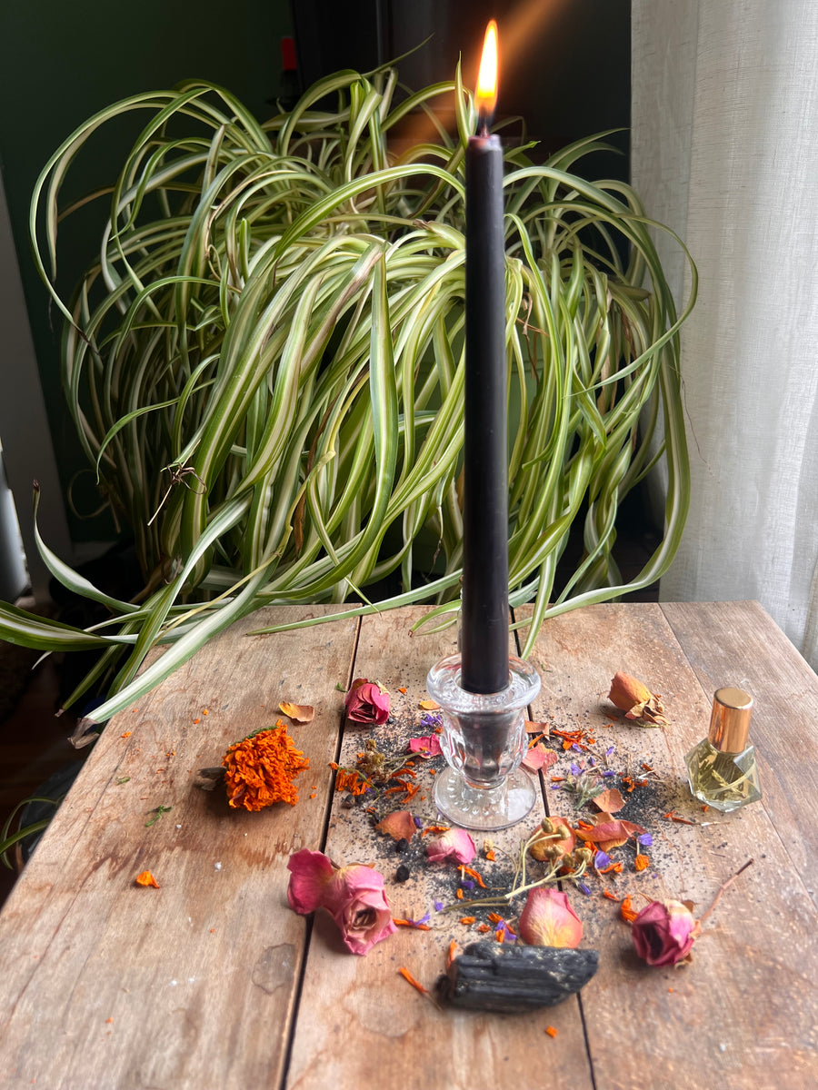 Shield of Shadow + Bloom – The Mossy Apothecary